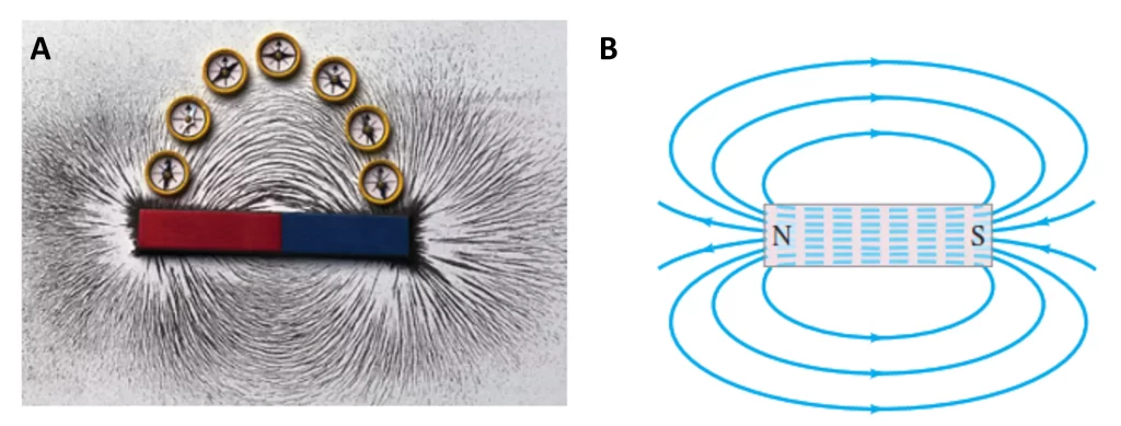 Konsep Dasar Kemagnetan: Medan Magnet dan Gaya Magnetik | eduFisika